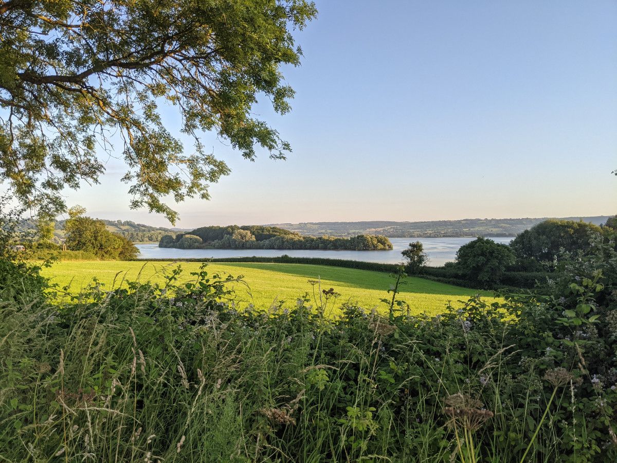 The Community Farm - Organic Veg Box Delivery Bristol Bath Weston-Super ...