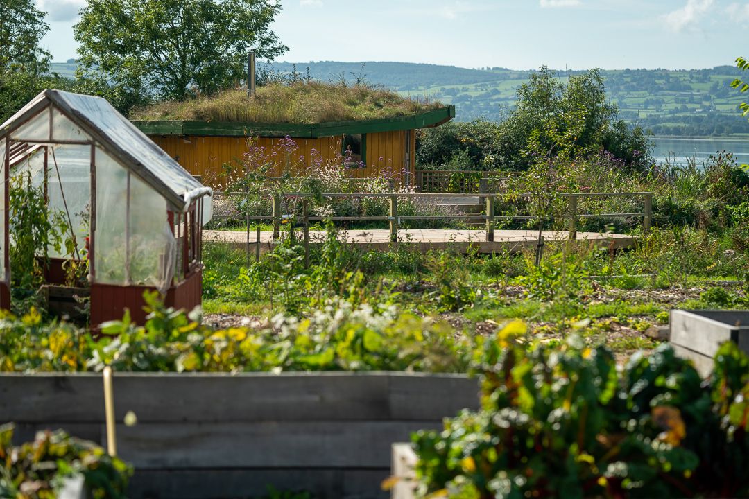 The Community Farm - Organic Veg Box Delivery Bristol Bath Weston-Super ...