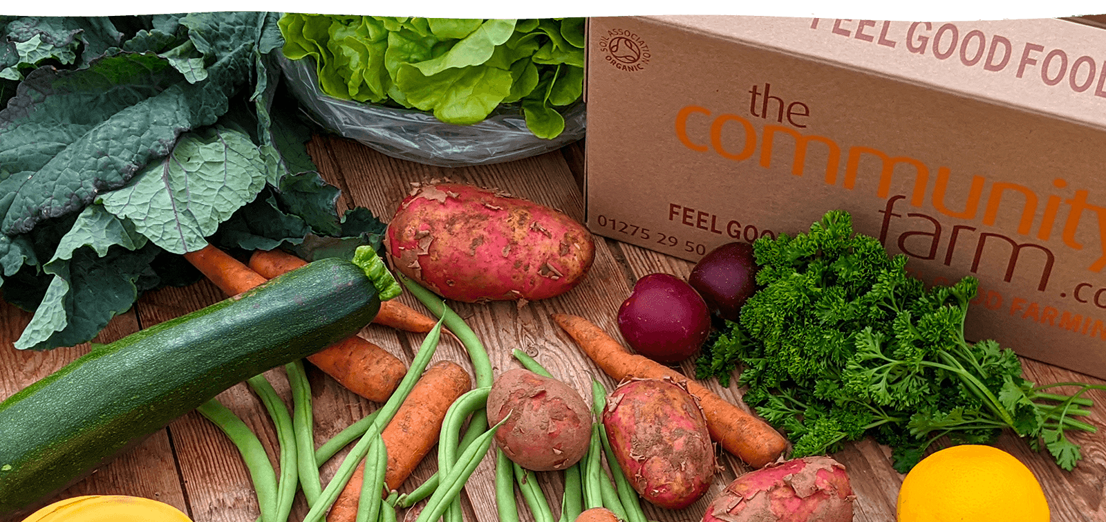 Organic Veg box delivery - The Community Farm