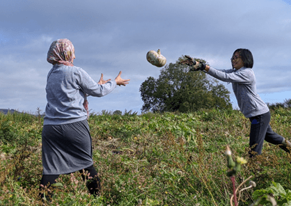 Get Involved - The Community Farm