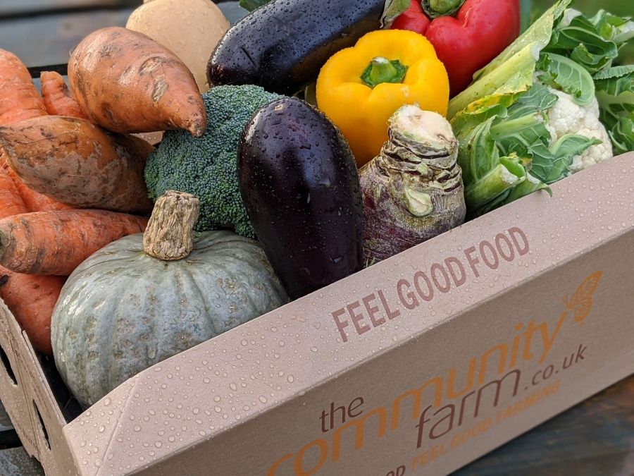 Contact Us - The Community Farm