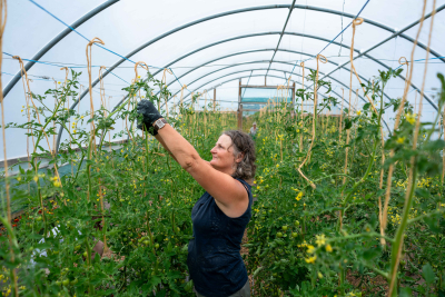 The Community Farm - Organic Veg Box Delivery Bristol Bath Weston-Super ...